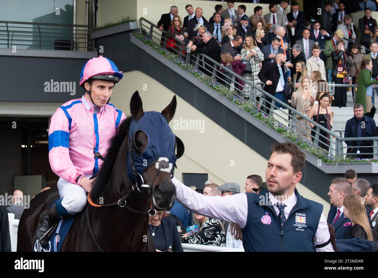 William knight racing ltd -Fotos und -Bildmaterial in hoher Auflösung ...