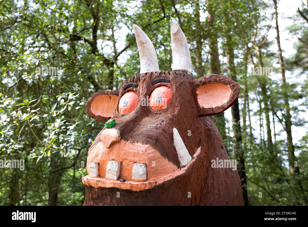 Haldon forest -Fotos und -Bildmaterial in hoher Auflösung – Alamy