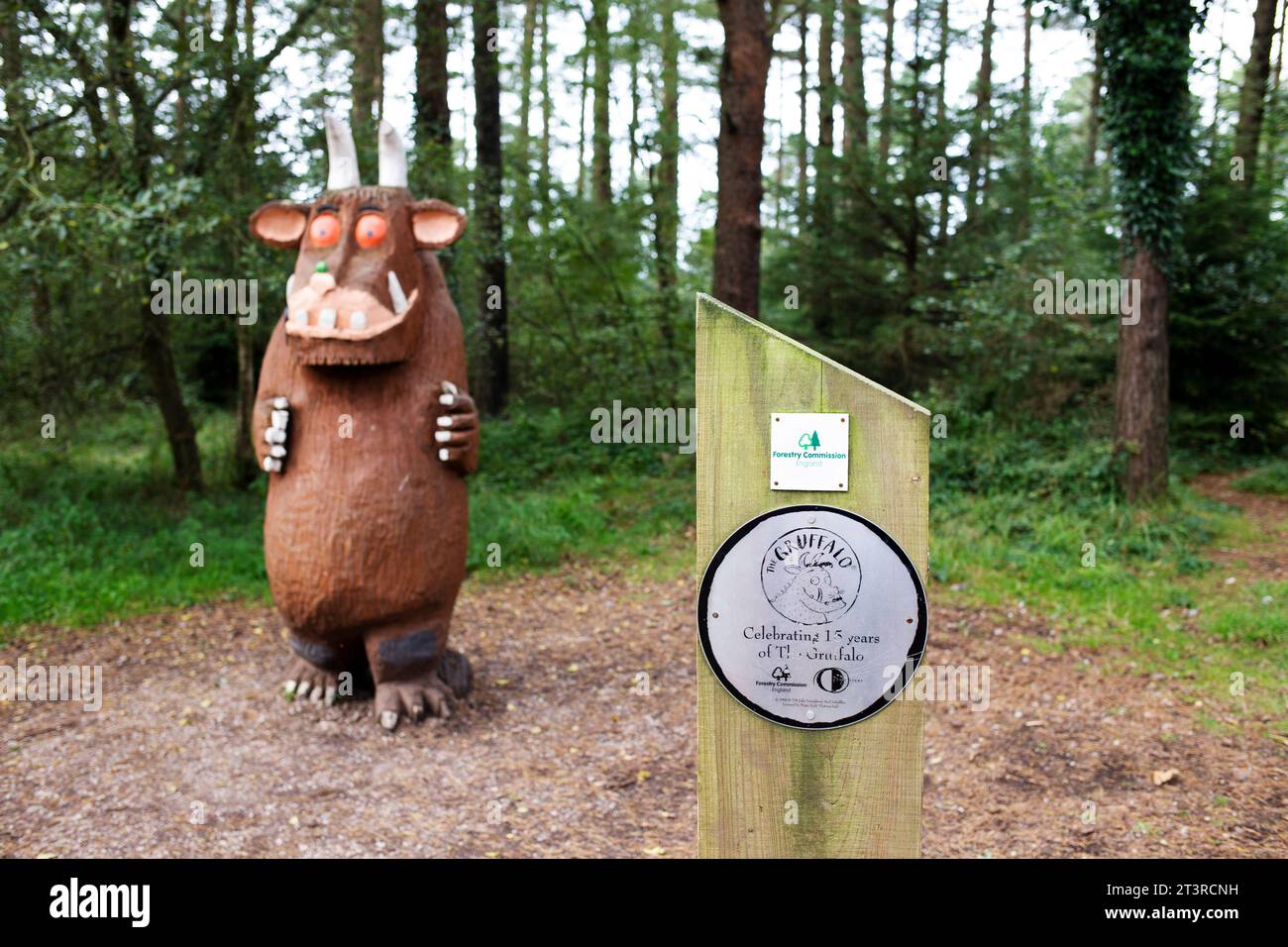 Haldon forest -Fotos und -Bildmaterial in hoher Auflösung – Alamy