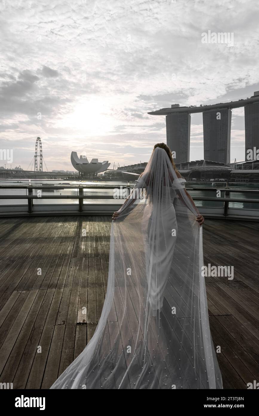 Die Braut ist mit einem Schleier hinter dem Hintergrund der Stadt ...