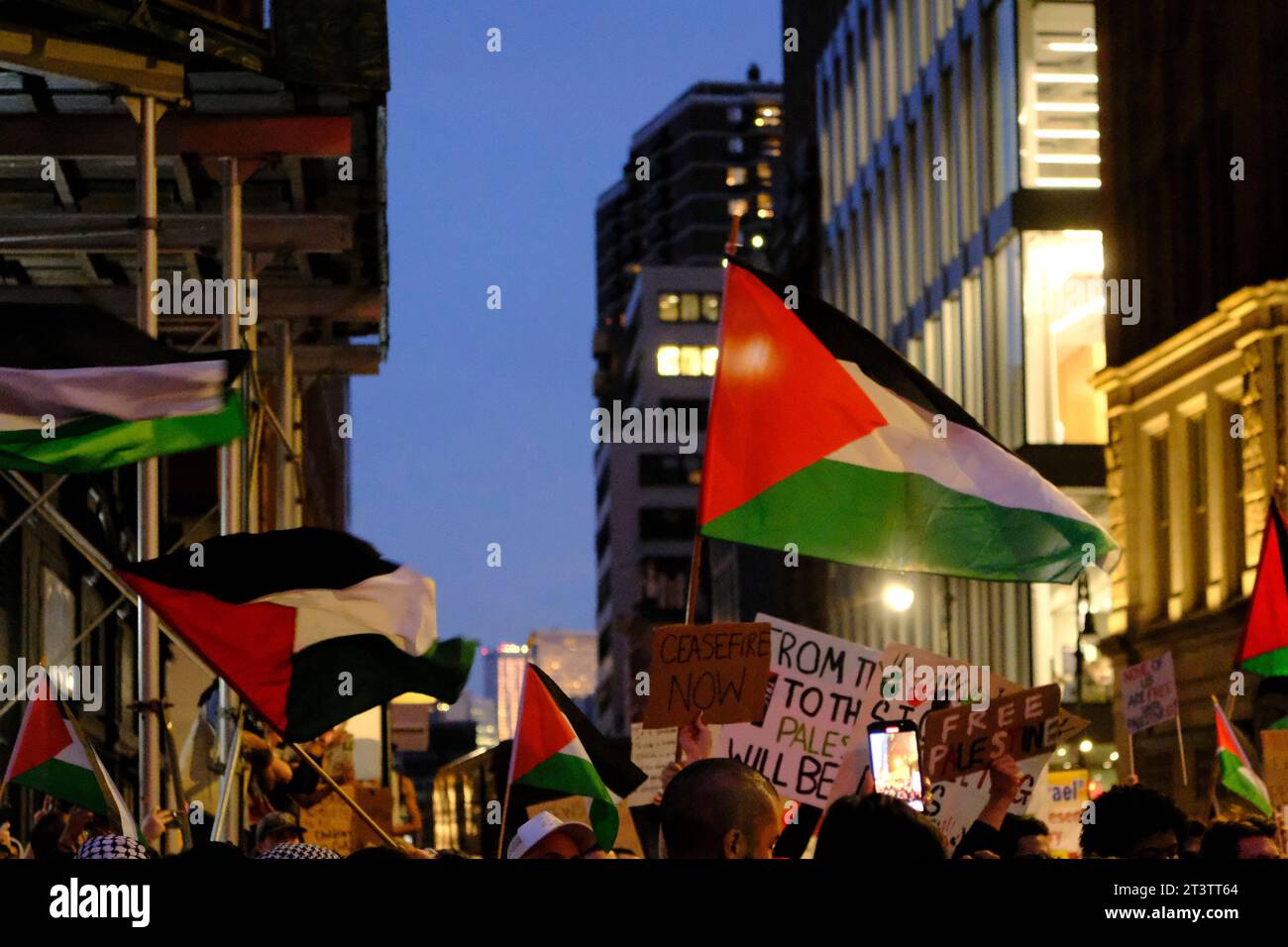 NEW YORK, NY: 26. Oktober: Pro-palästinensische Demonstranten ...