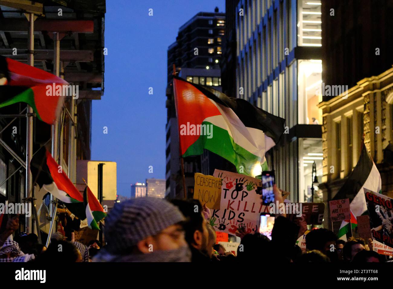 NEW YORK, NY: 26. Oktober: Pro-palästinensische Demonstranten ...