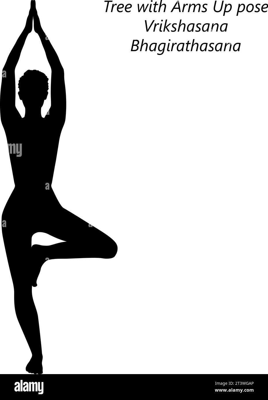 Silhouette einer Frau beim Yoga Vrikshasana. Baum mit erhobenen Armen ...