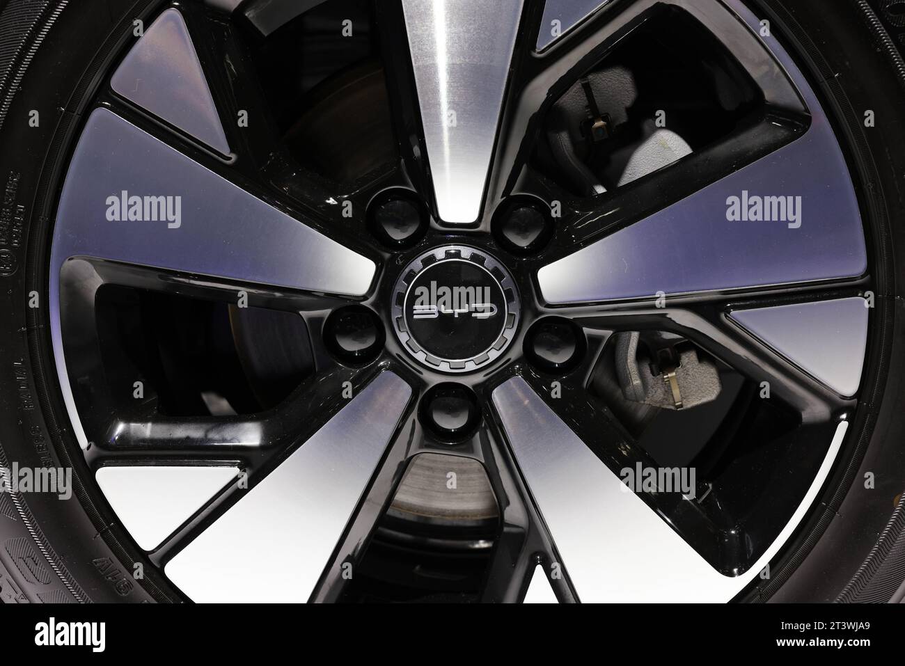Byd logo -Fotos und -Bildmaterial in hoher Auflösung – Alamy