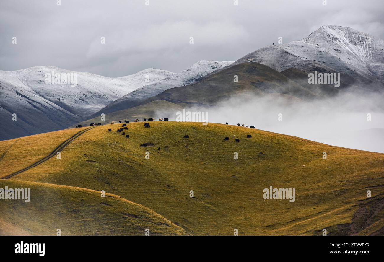 ABA, CHINA - 11. OKTOBER 2023 - der Langyi-Tempel ist umgeben von ...