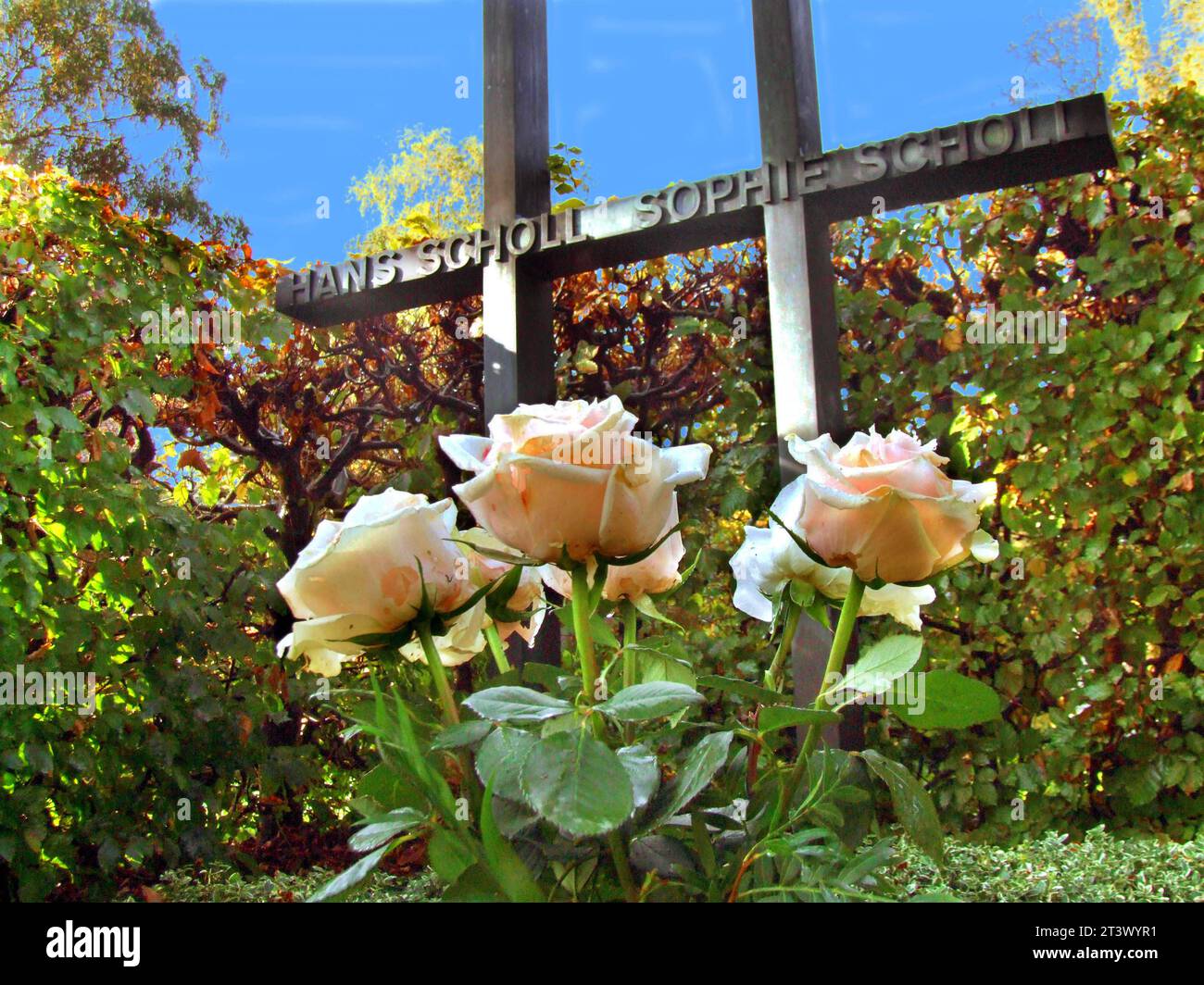 München, Friedhof, Grab, Allerheiligen, Allerseelen, Totensonntag ...
