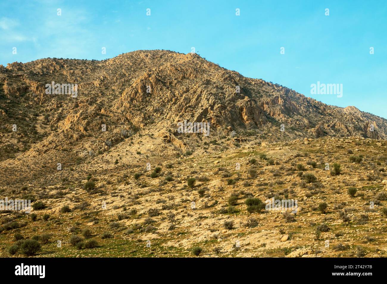 Desertic zones -Fotos und -Bildmaterial in hoher Auflösung – Alamy