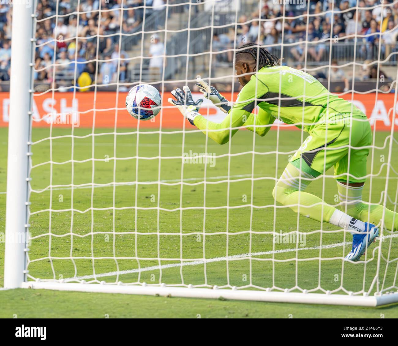 Jamaikanischer internationaler torwart -Fotos und -Bildmaterial in ...