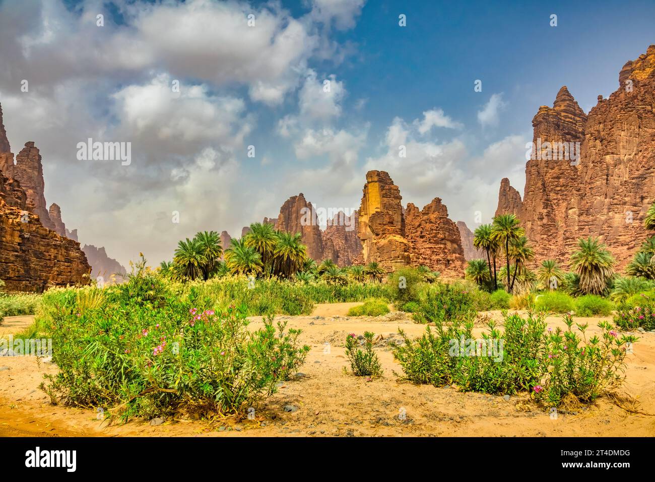 Al disah -Fotos und -Bildmaterial in hoher Auflösung – Alamy