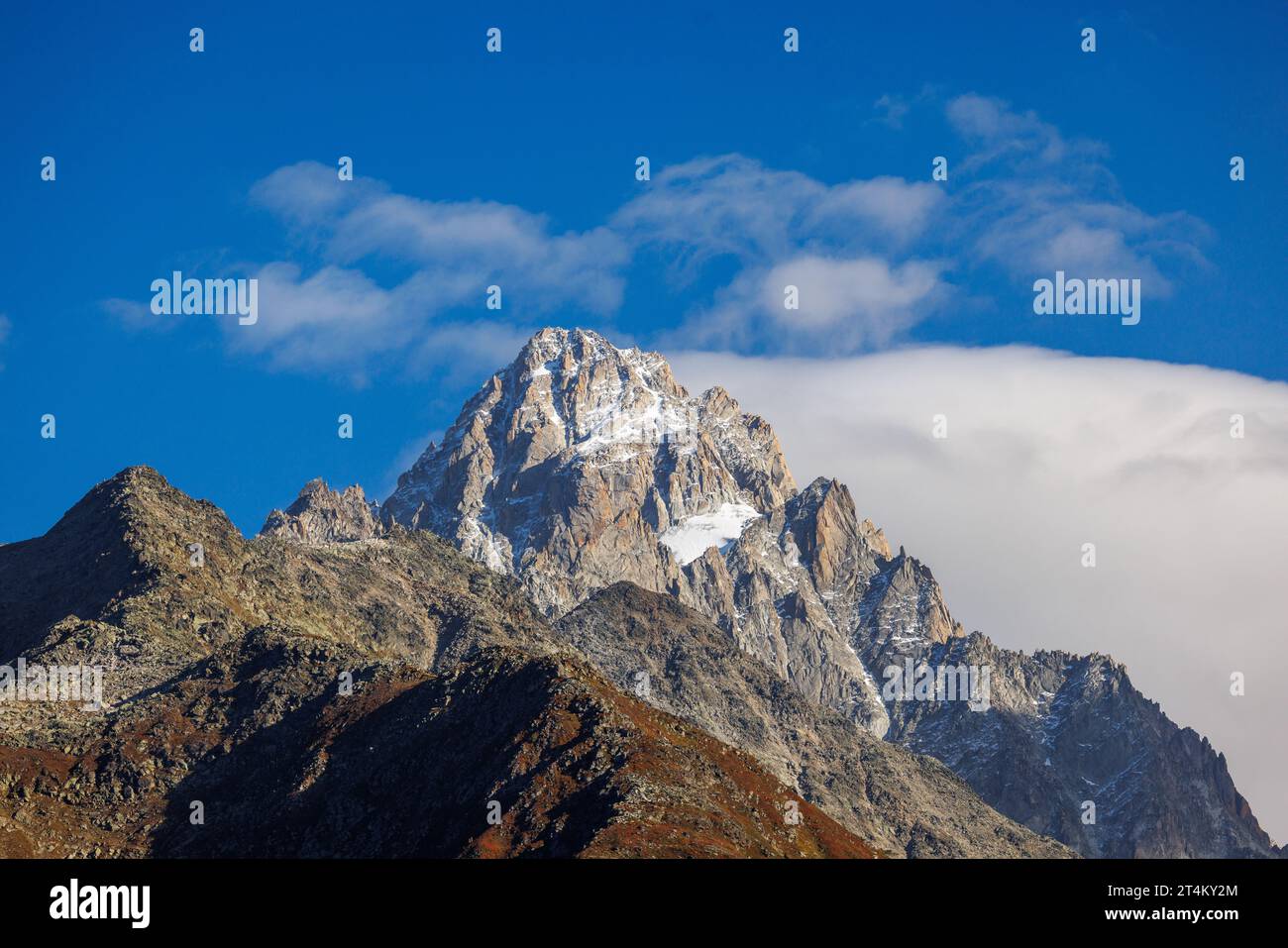 Le chardonnet -Fotos und -Bildmaterial in hoher Auflösung – Alamy