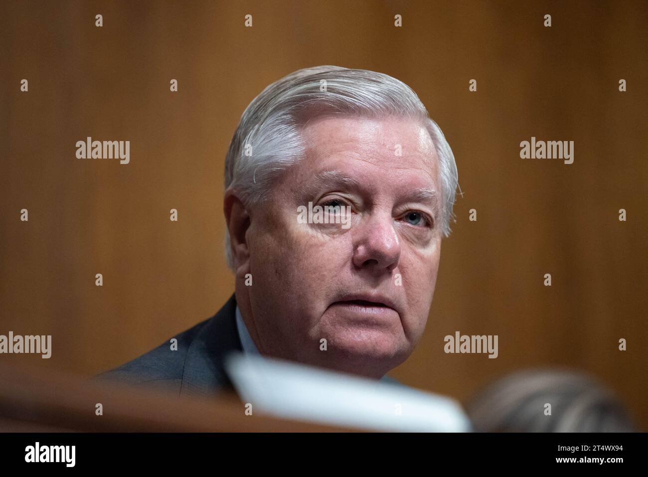 Senatorin Lindsey Graham (Republikanerin von South Carolina), Ranking ...
