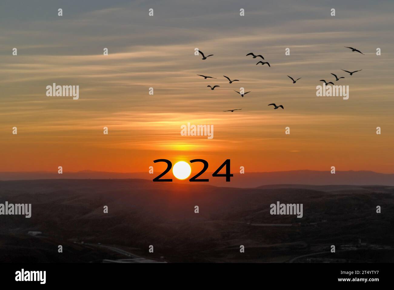 Übergang von 2023 zu Neujahr 2024 Konzept mit Text zum Sonnenaufgang. Das Leben ist kurz Vögel ...