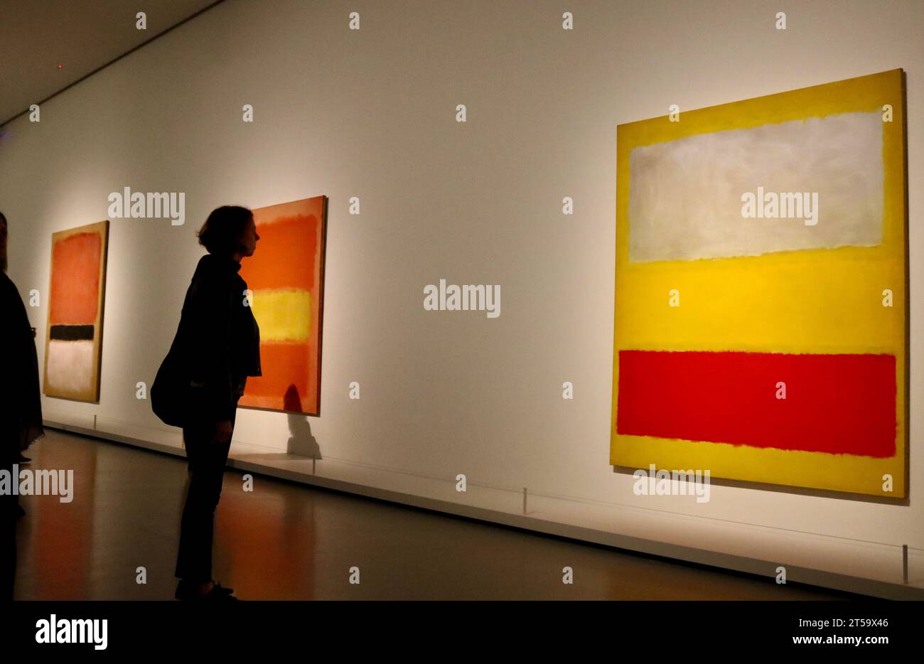 Rothko Ausstellung 2024
