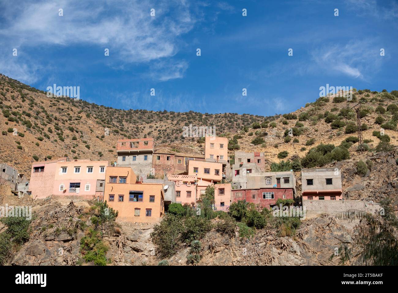 Dekoriertes berberzelt -Fotos und -Bildmaterial in hoher Auflösung – Alamy