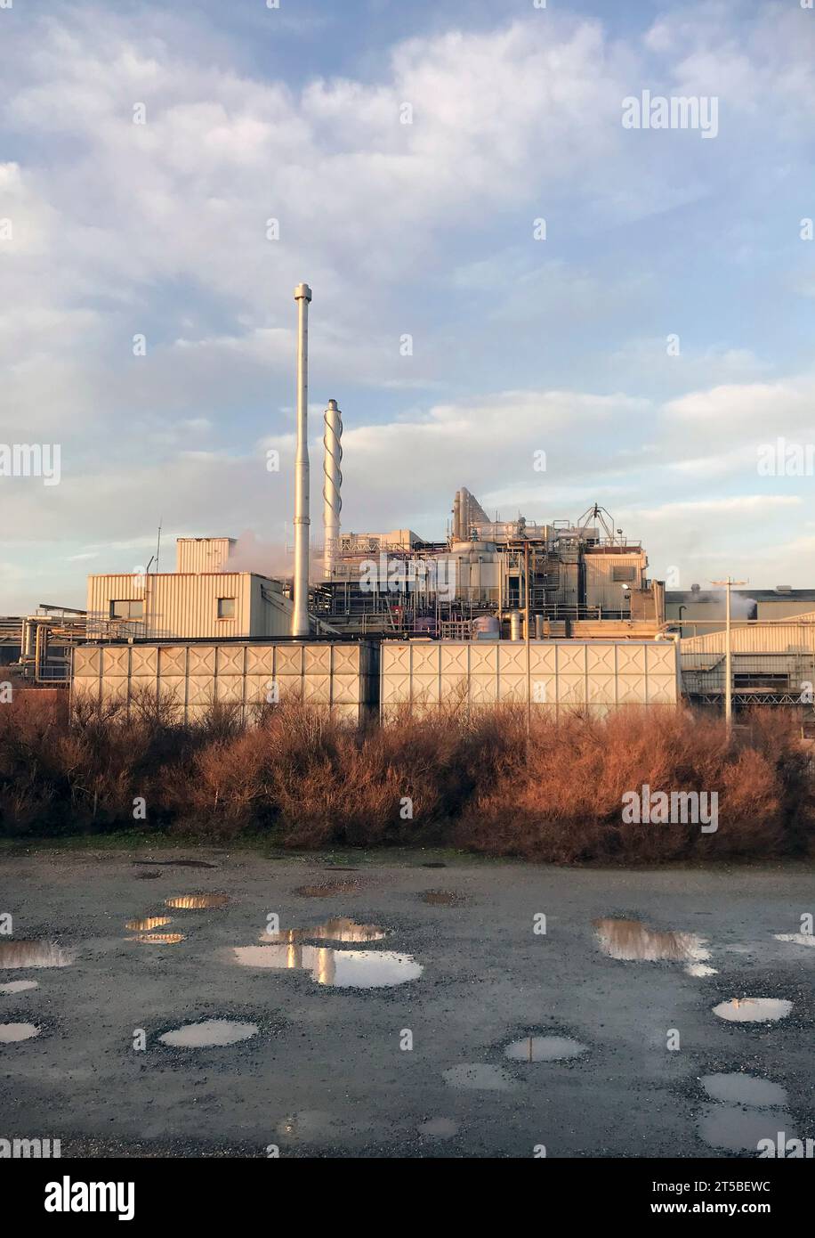 Proceso industrial de alimentos -Fotos und -Bildmaterial in hoher ...