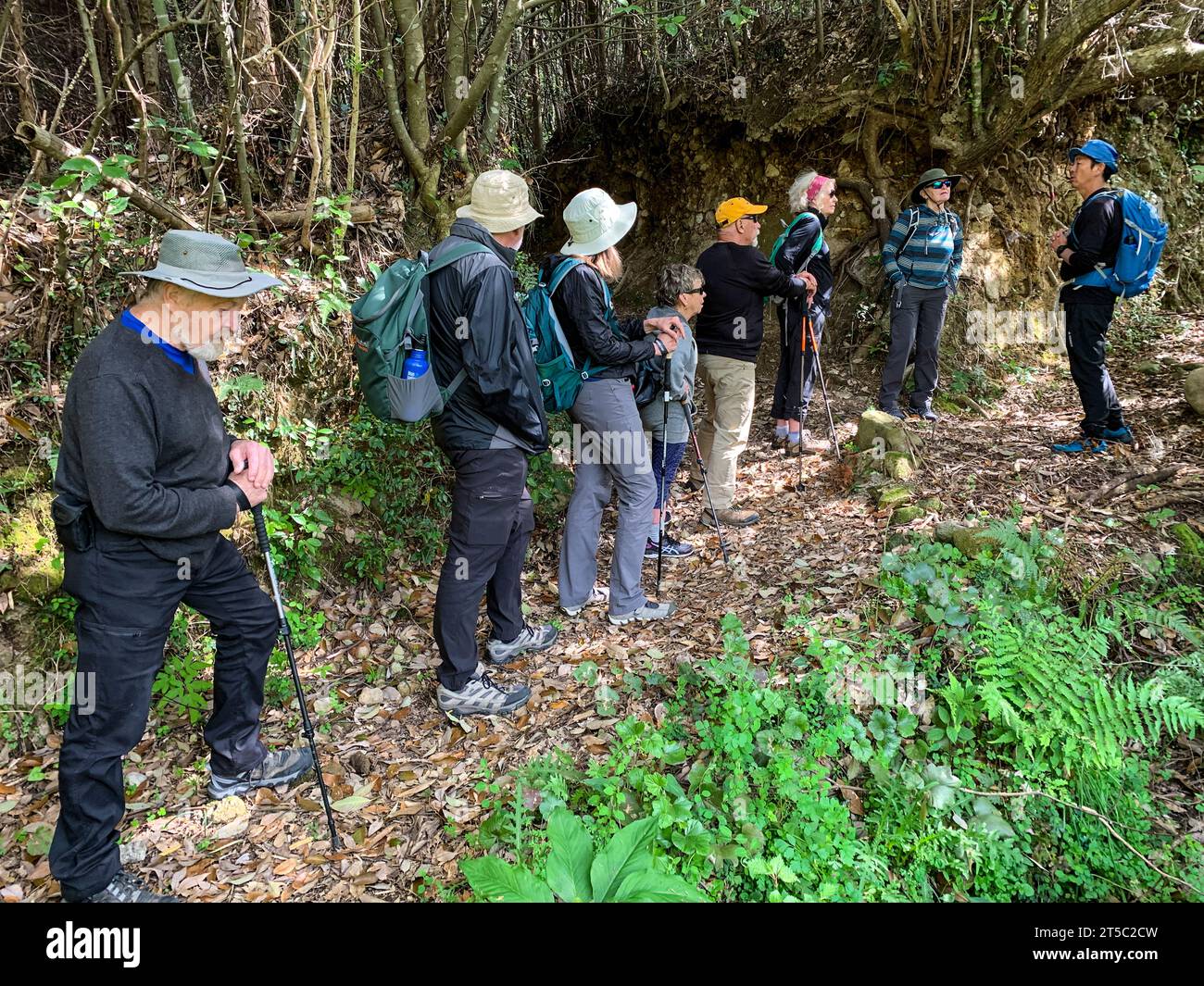 Guida straziante -Fotos und -Bildmaterial in hoher Auflösung – Alamy