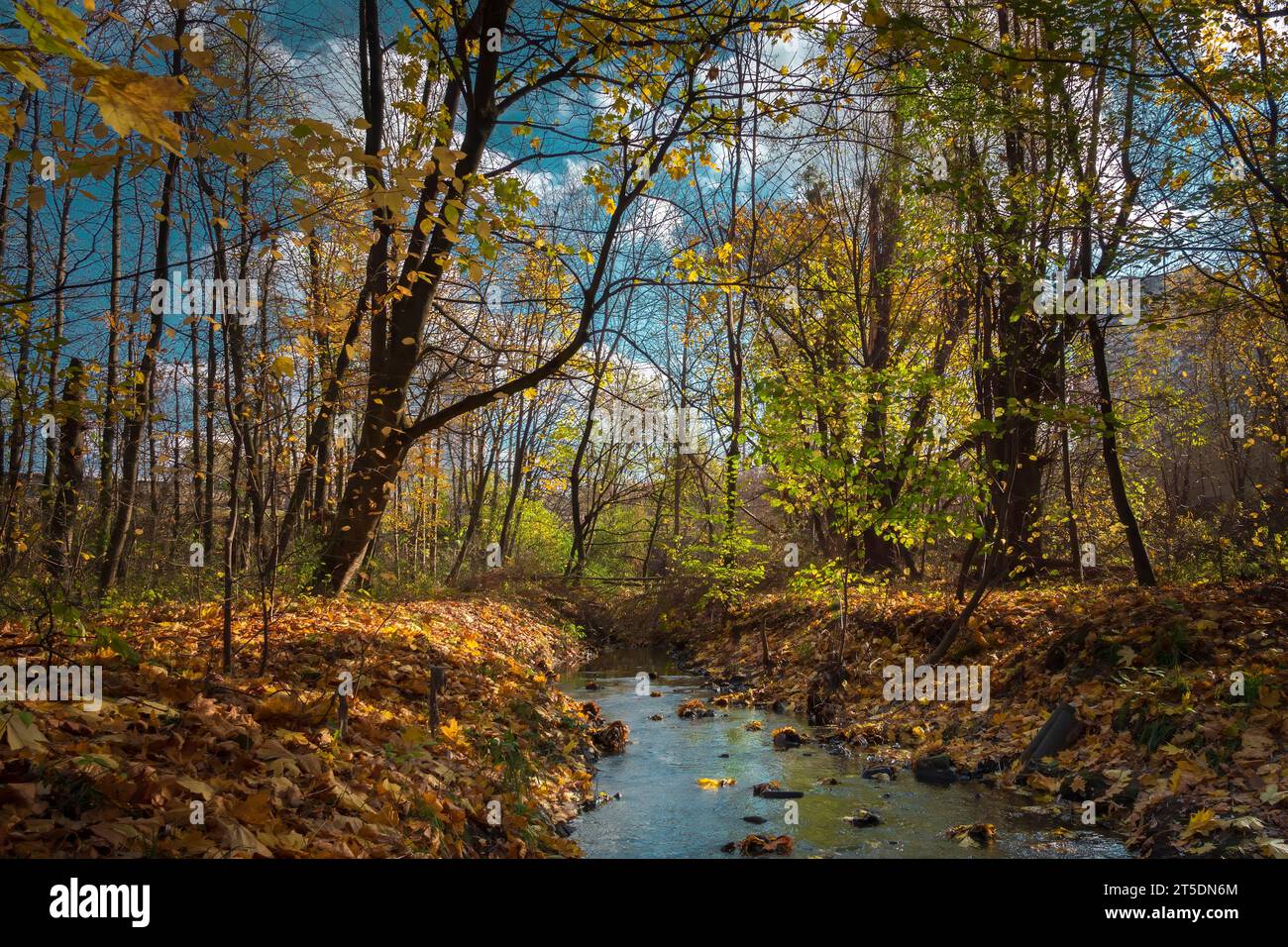 Lebendige herbstlandschaft -Fotos und -Bildmaterial in hoher Auflösung ...