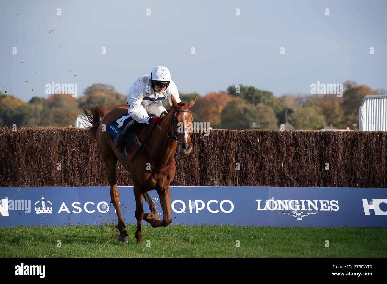 Ascot, Berkshire, Großbritannien. November 2023. Horse Red Rookie ...