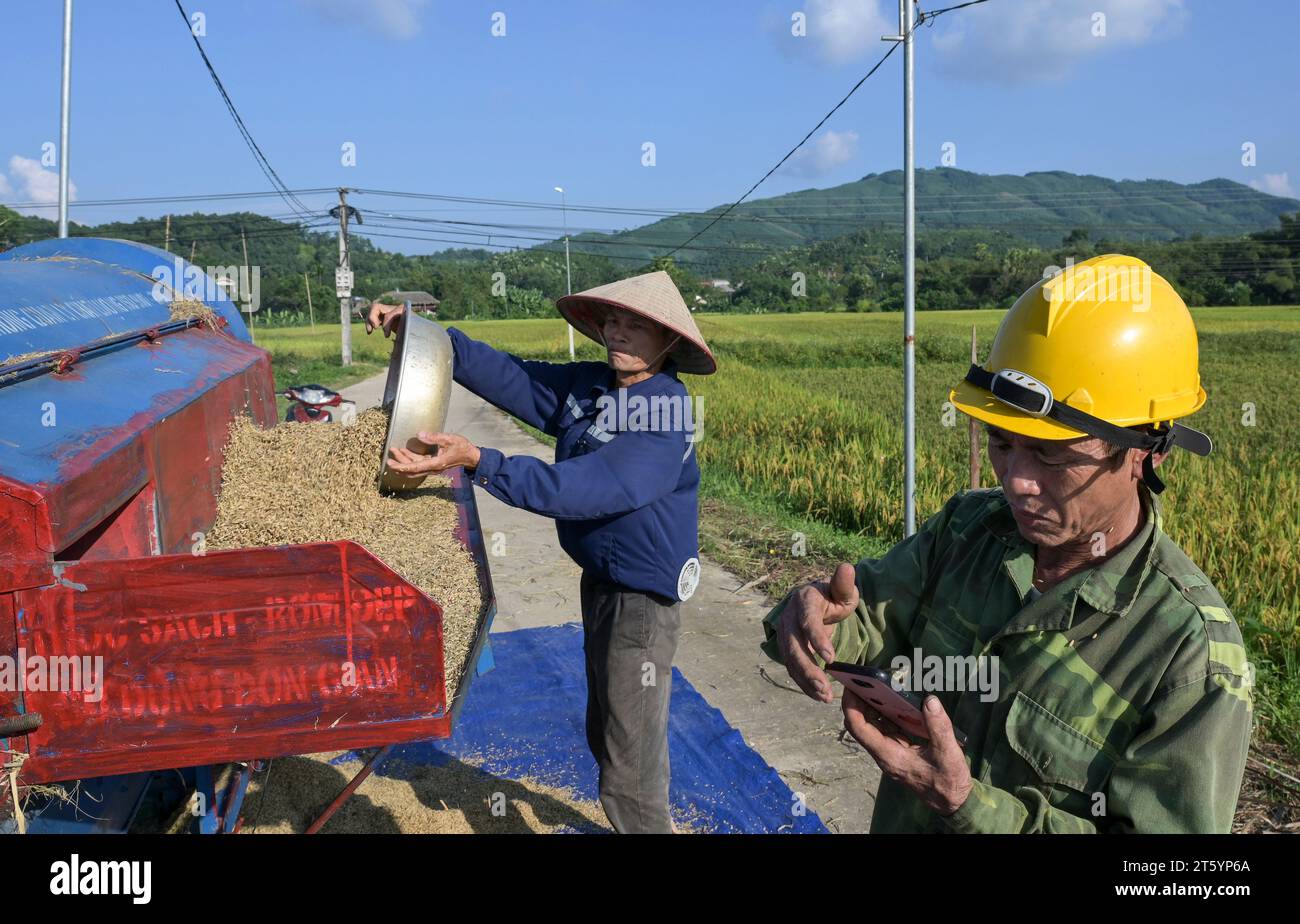 VIETNAM, Provinz Yen Bai, Cam Nhan, Landwirt dreschen Reis nach der ...