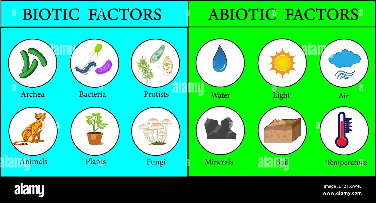 Factores bioticos -Fotos und -Bildmaterial in hoher Auflösung – Alamy