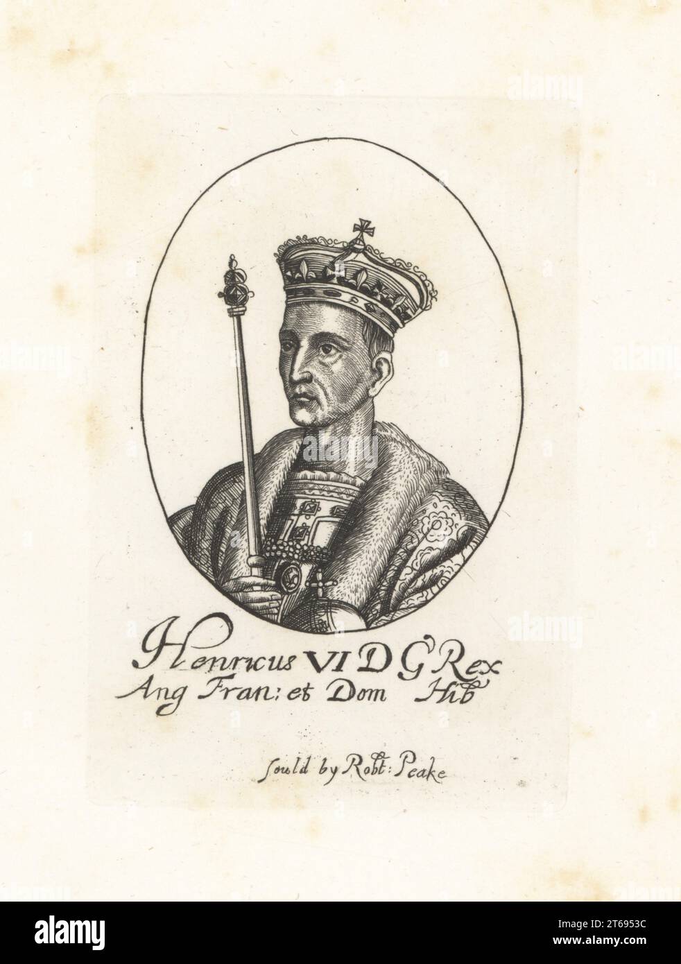 Dg rex ang fran et dom hib -Fotos und -Bildmaterial in hoher Auflösung ...