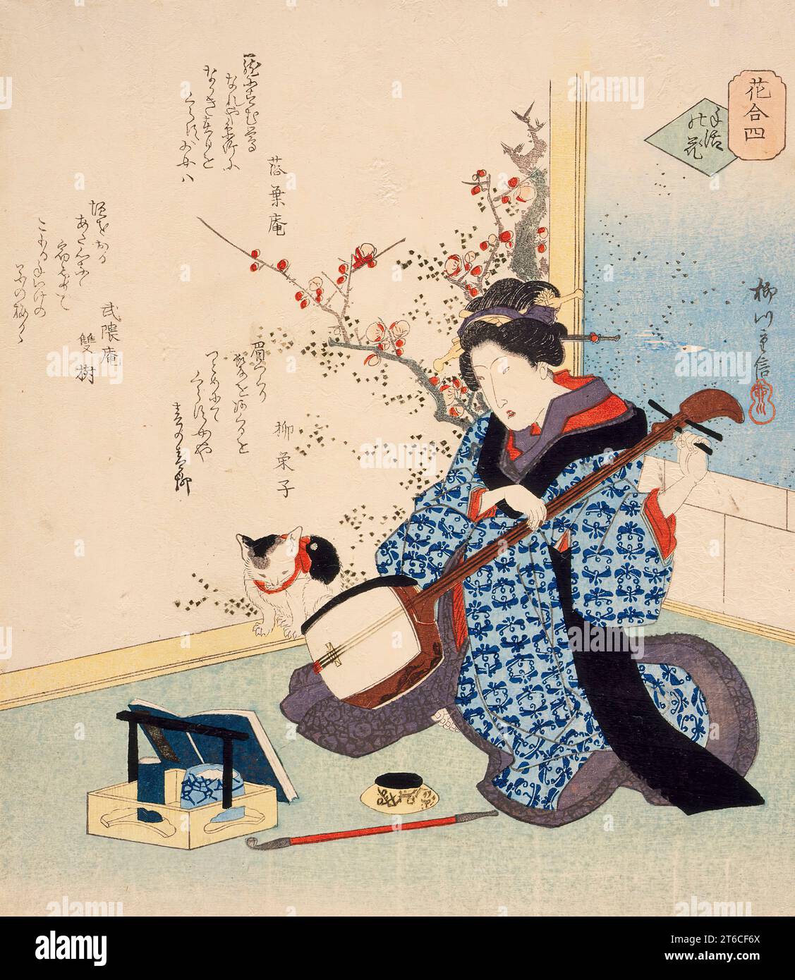 Geisha, die ein samisen abstimmt -Fotos und -Bildmaterial in hoher ...