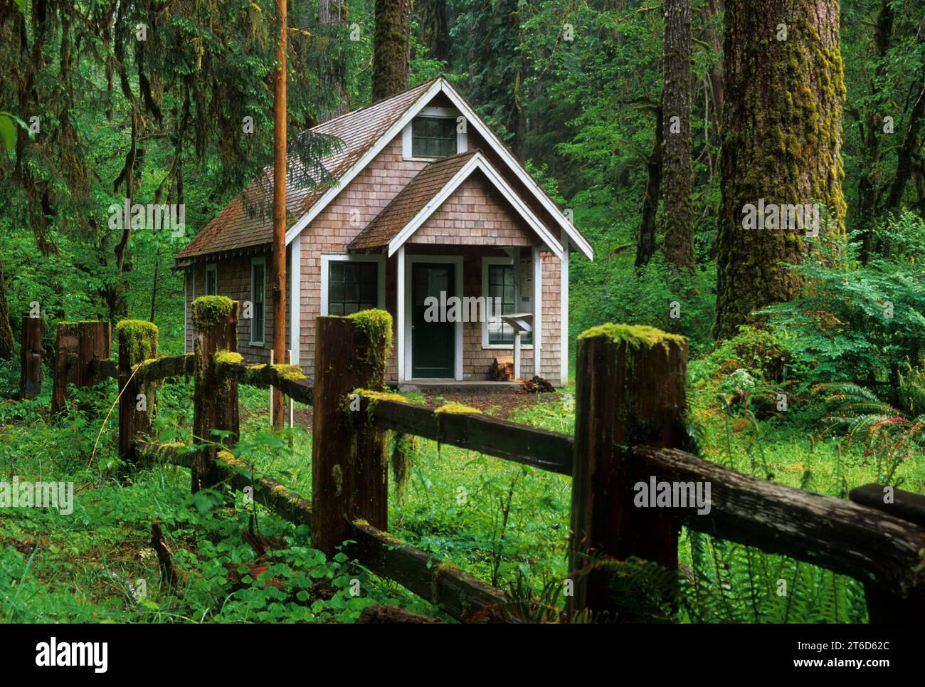 Quinault river ranger station -Fotos und -Bildmaterial in hoher ...