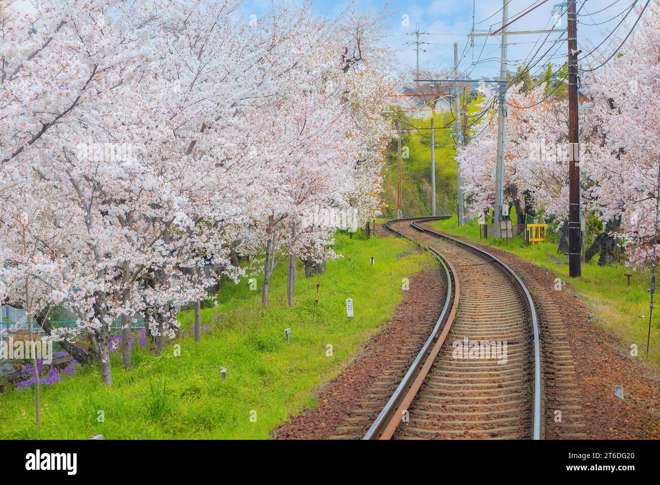 Kyoto, Japan – März 31 2023: Die Keifuku Tram wird von der Keifuku ...
