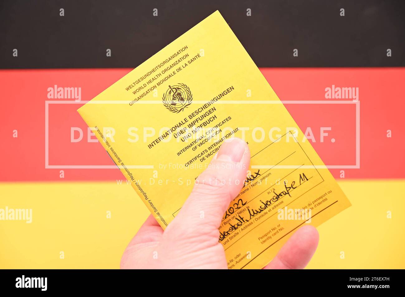 Stock- und Symbolbilder I 10.11.2023 Gesundheitszeugnis zum Nachweis ...