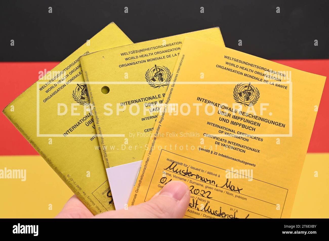 Stock- und Symbolbilder I 10.11.2023 Gesundheitszeugnis zum Nachweis ...