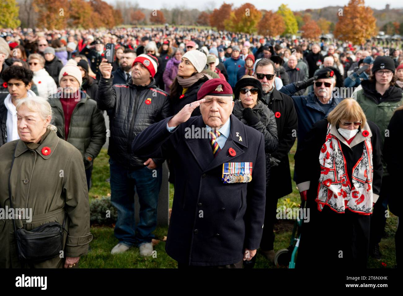 Retired Capt. Philip Berikoff of the Canadian Armed Forces (CAF ...