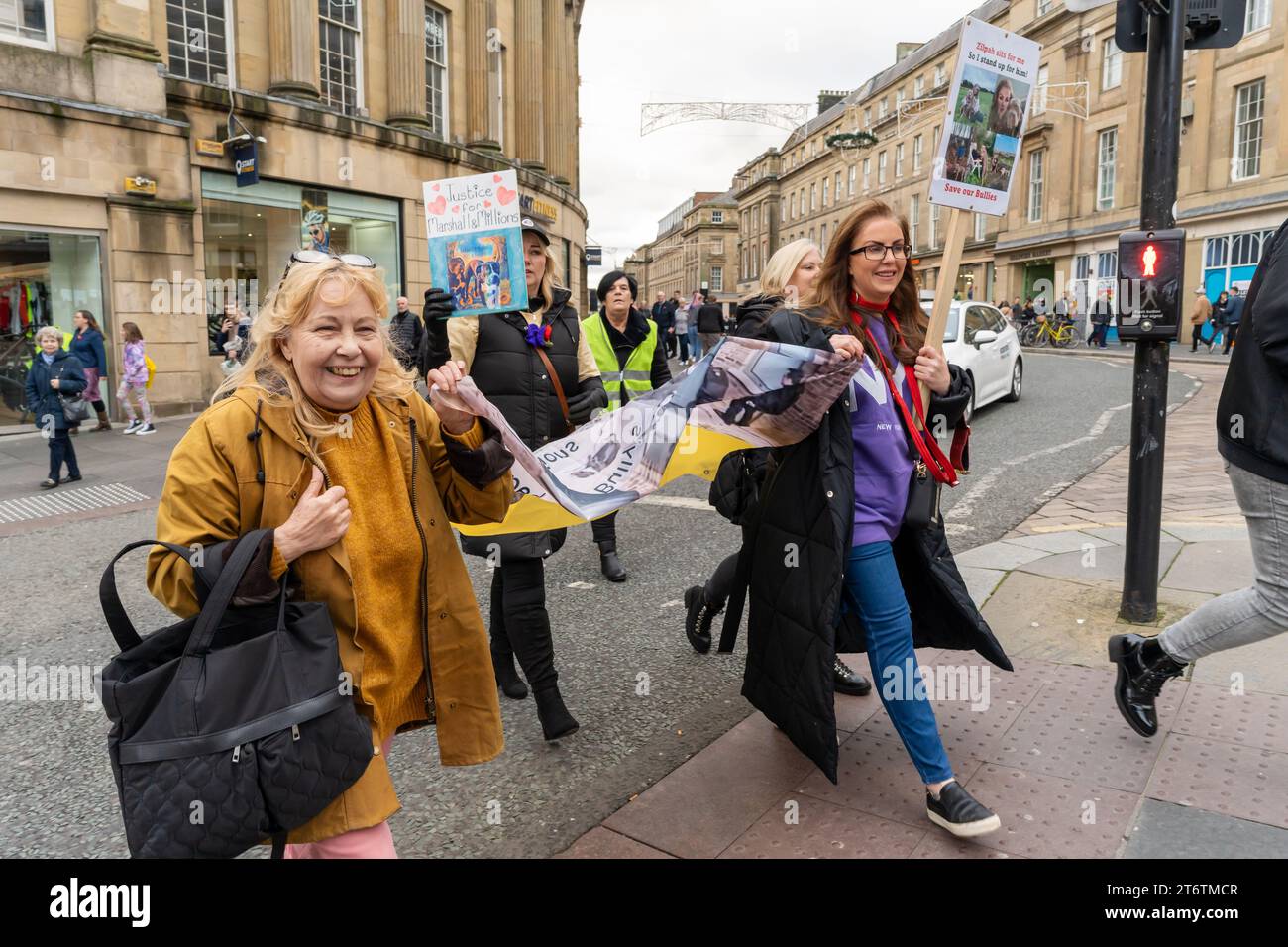 Newcastle upon Tyne, Großbritannien. November 2023. Protest, der für ...