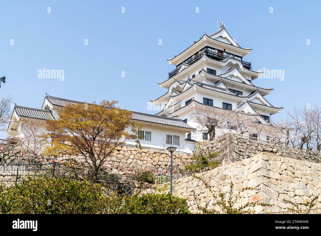 Schloss Fukuyama in Japan. Ishigaki-Steinmauern mit Kirschblüten und ...