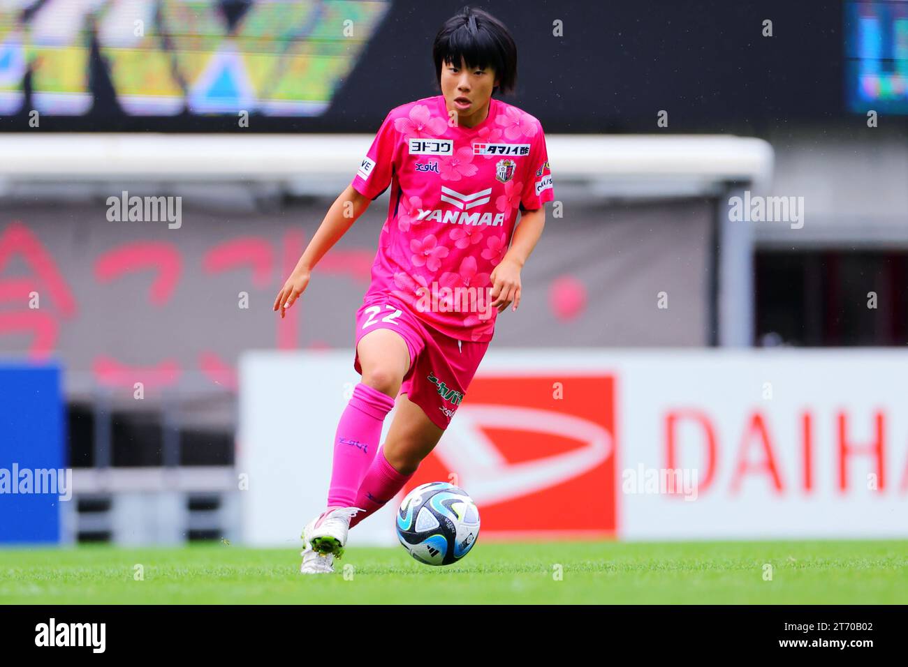 Uno shiragaki -Fotos und -Bildmaterial in hoher Auflösung – Alamy