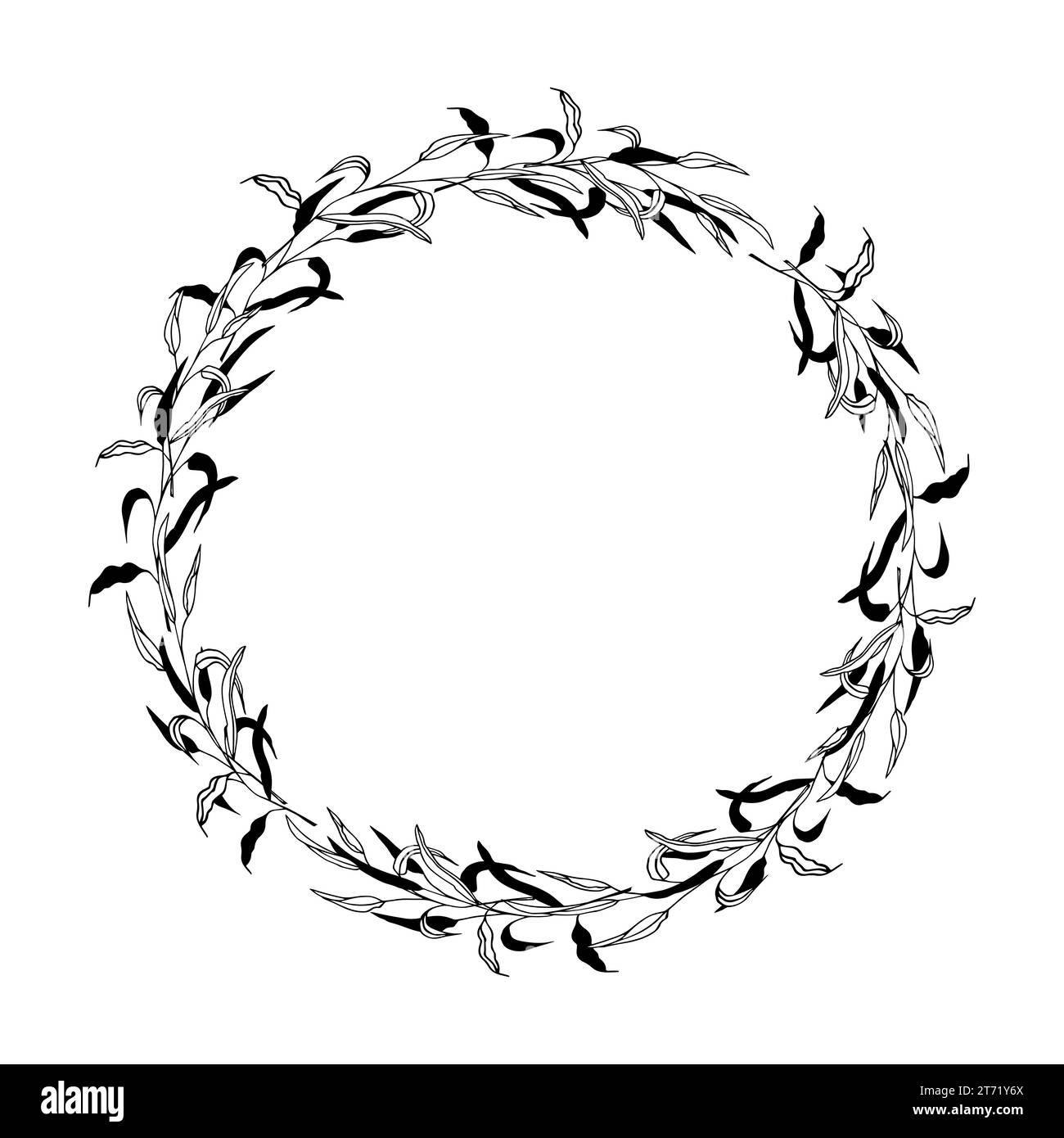 Floral Circle Frame, Line Art Hand gezeichneter Eukalyptus Blätter ...