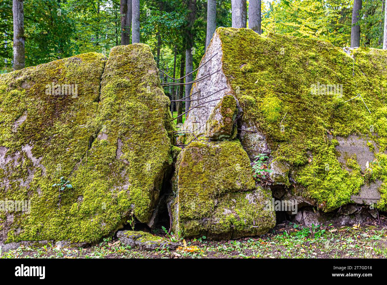 Wolf's Lair ist eine Stadt mit Bunkern, umgeben von Wäldern, Seen und ...