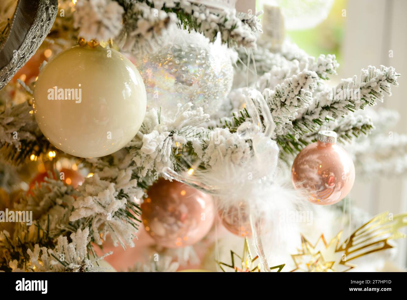 Neues jahr 2024 -Fotos und -Bildmaterial in hoher Auflösung – Alamy