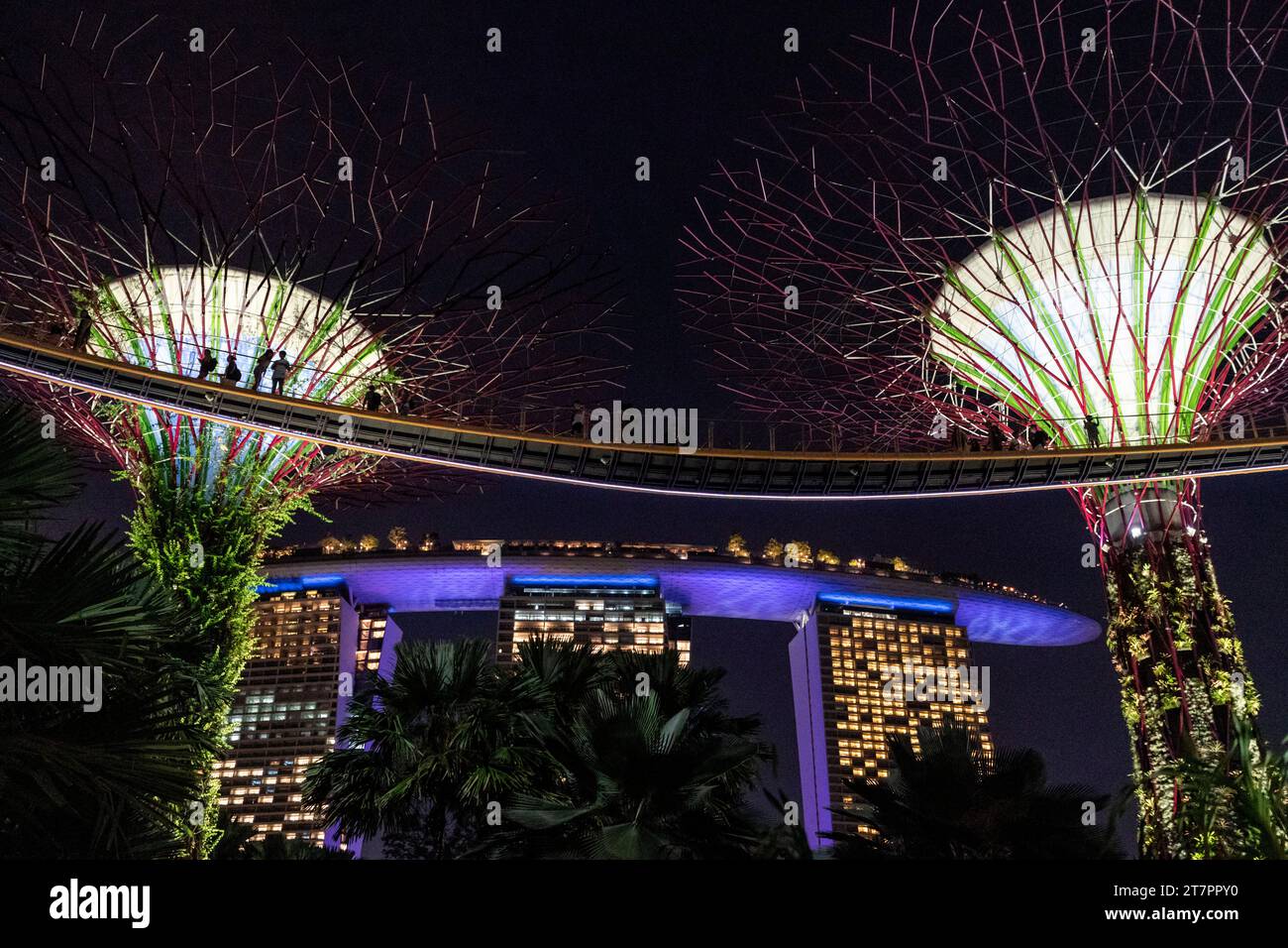 Visitors walk along a canopy at the Supertrees during a light and sound ...