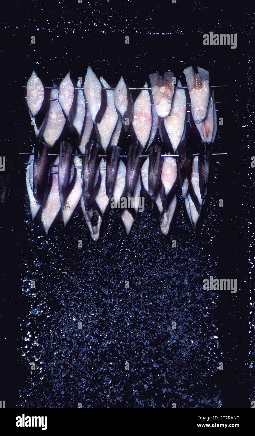 Deutschland fisch rauchen -Fotos und -Bildmaterial in hoher Auflösung ...