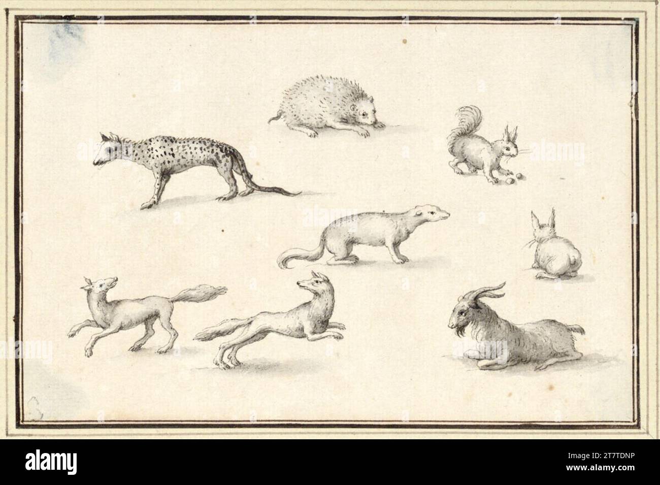 Albert Flamen Arbeitsblatt mit acht Tieren (Ginster, Igel, Eichhorn ...