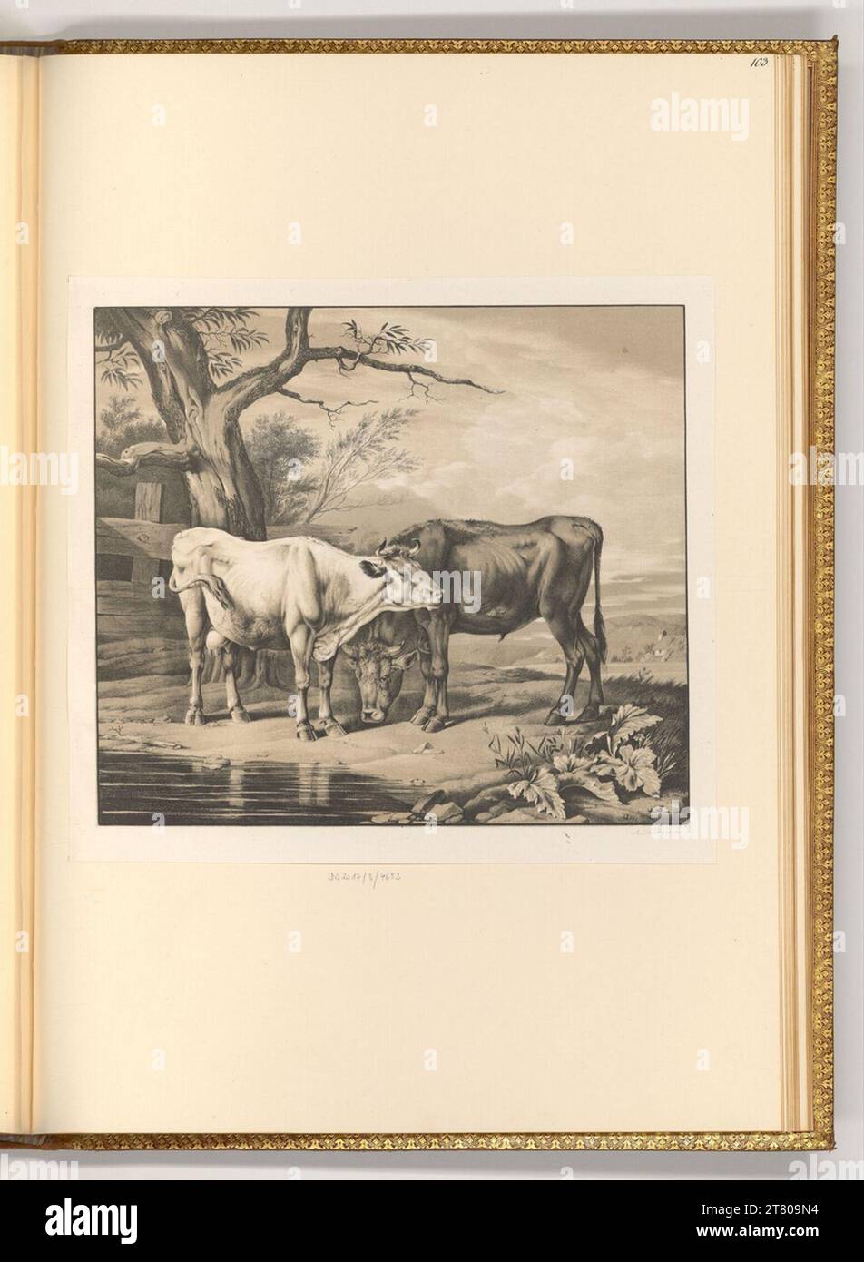 Alexander Dallinger von Dalling (Ausführende r Künstler in) Eine Kuh ...