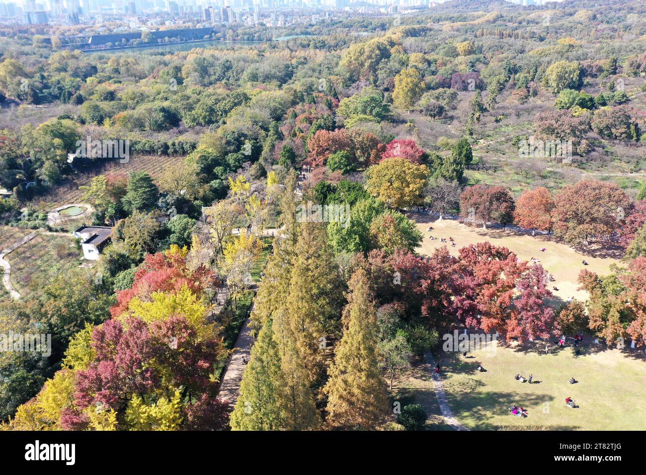 NANJING, CHINA - 18. NOVEMBER 2023 - Touristen genießen die Landschaft ...