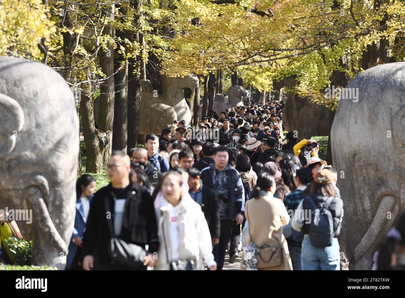 NANJING, CHINA - 18. NOVEMBER 2023 - Touristen genießen die Landschaft ...