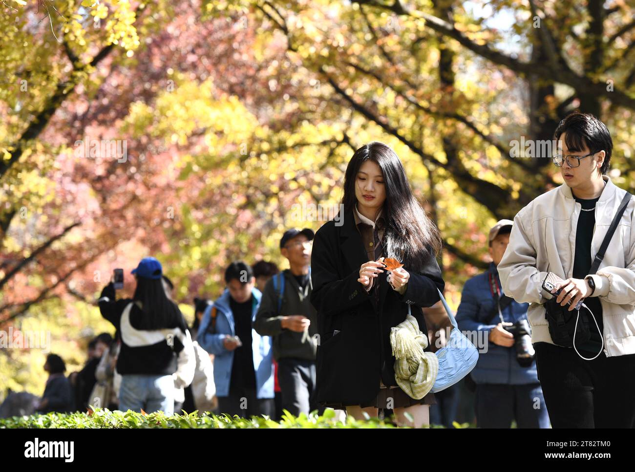 NANJING, CHINA - 18. NOVEMBER 2023 - Touristen genießen die Landschaft ...