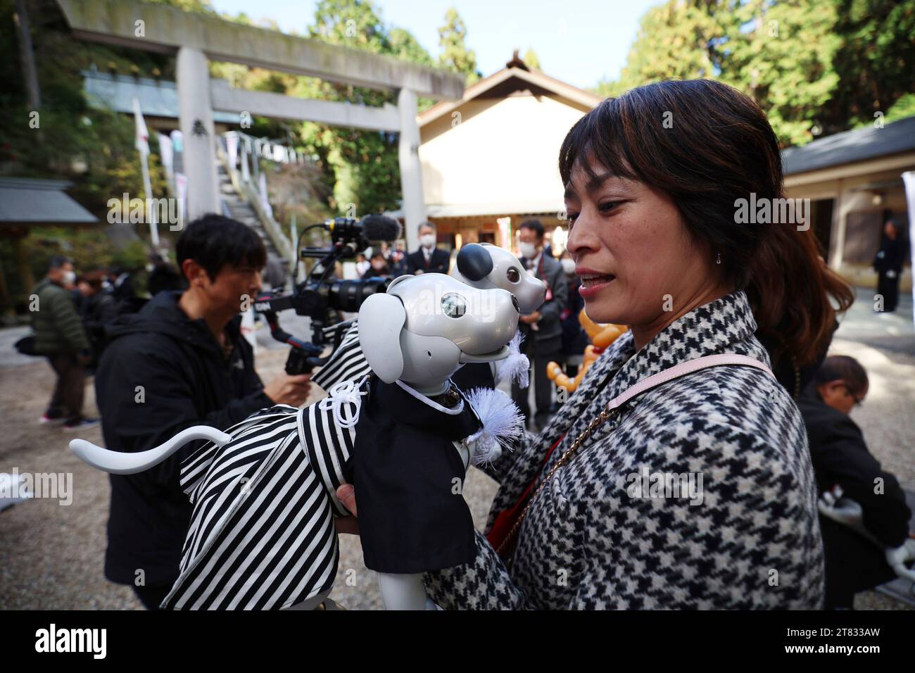 Lots of aibo, a dog-shaped robot manufactured by Sony, participate in ...
