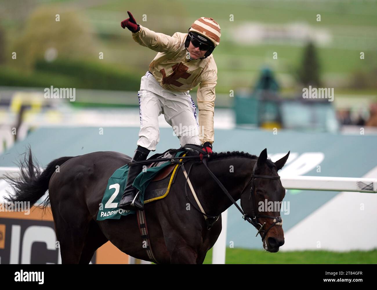 Broadway Boy, der von Tom Bellamy geritten wurde, kommt nach Hause, um ...