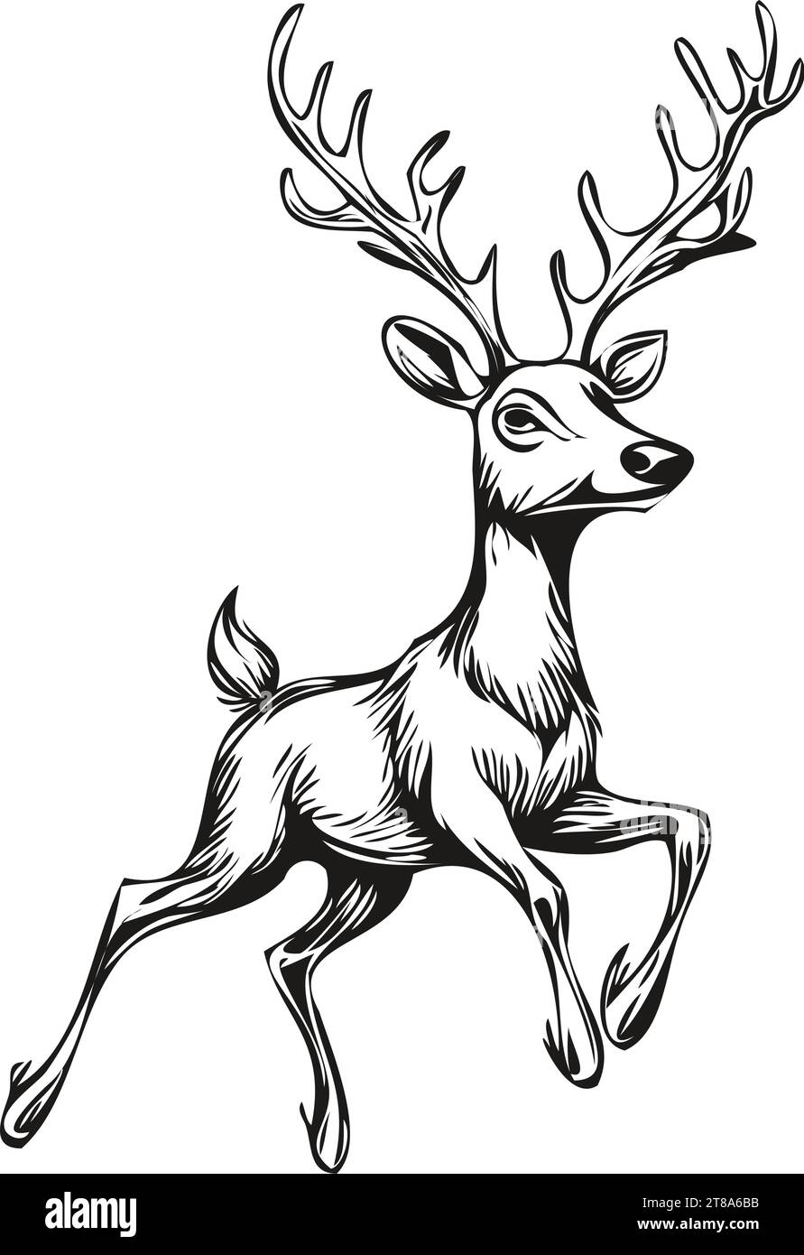 Hand gezeichnet Cartoon Rentier, Hirsch Vintage Gravur Sketch, schwarz ...