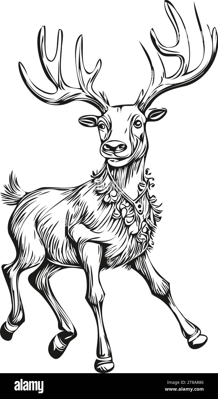 Vintage-Gravur von Weihnachten Rentier, Hirsch Hand gezeichnet ...