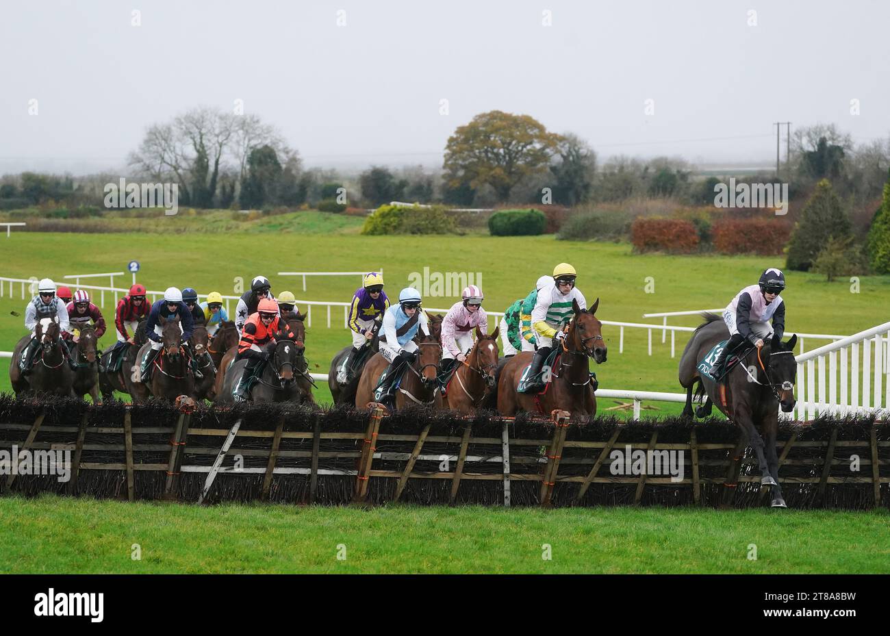 Schauen Sie in den Westen (rechts), geritten von Rachael Blackmore auf ...