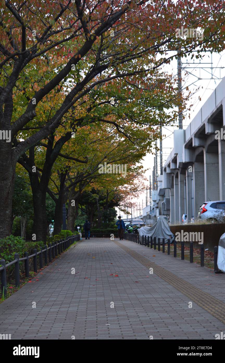 Parallel fahren -Fotos und -Bildmaterial in hoher Auflösung – Alamy